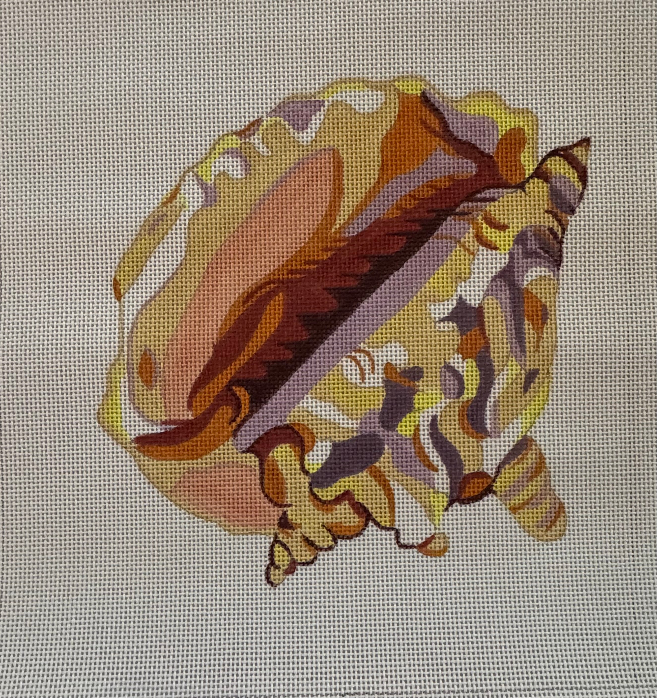 Conch Shell – What's the Point?